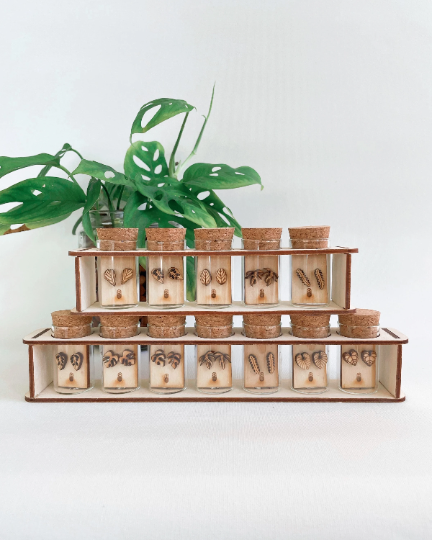 Hypoallergenic Wooden Tiny Dainty Plant Studs | Fiddle Leaf Cafe