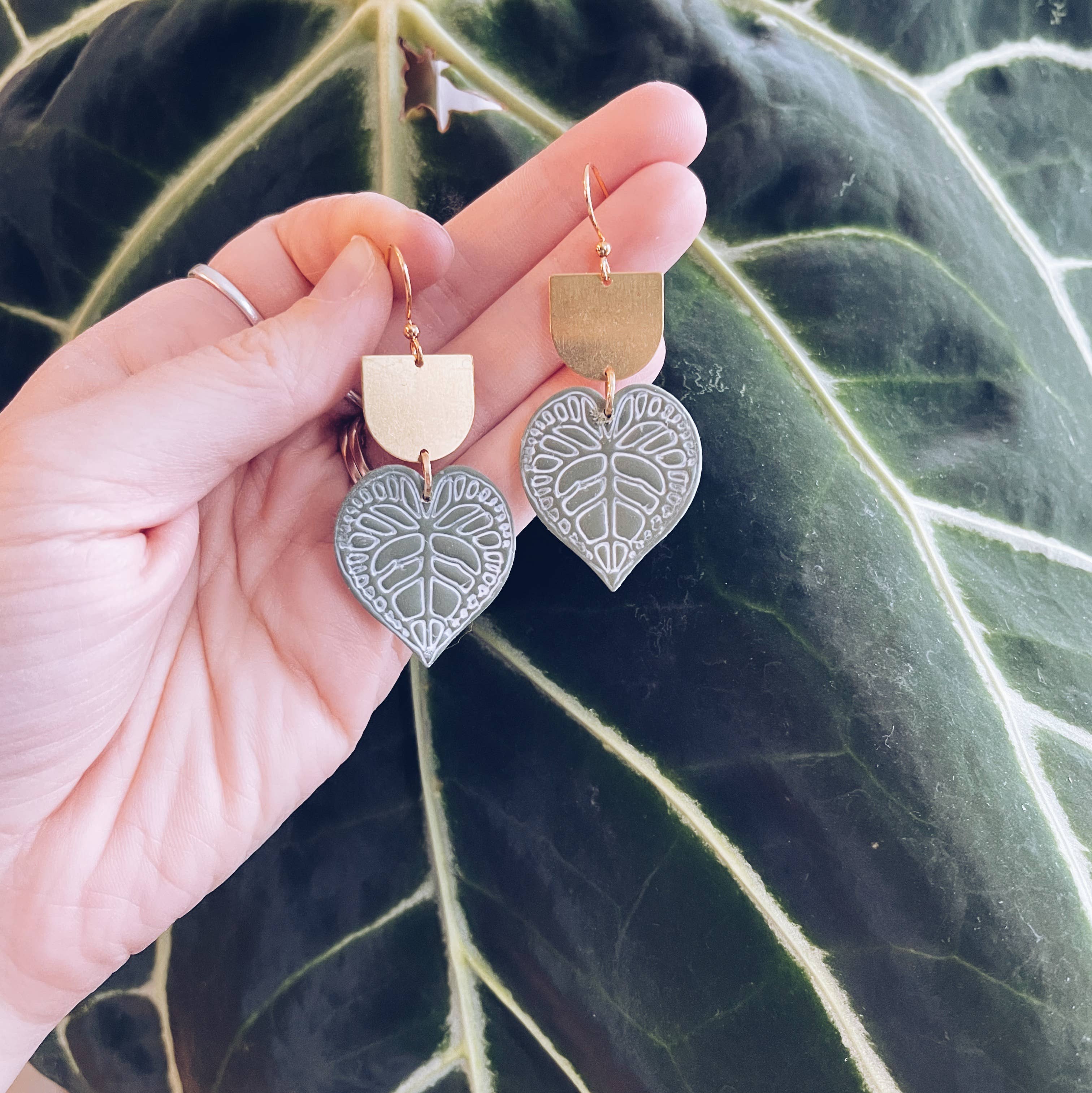 Anthurium Dangle | Fiddle Leaf Cafe